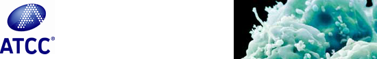 ATCC - iPS細胞（ヒト人工多能性幹細胞） | ATCC商品情報 | ATCC分譲サービス | 住商ファーマインターナショナル株式会社