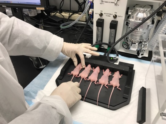 機種 | IVIS Imaging System | 取扱製品 | 創薬研究機器・装置 | 住商ファーマインターナショナル株式会社