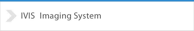In vivo 2D/3D 発光・蛍光・RI・X線・CTイメージングシステム IVIS Imaging System | 取扱製品 | 創薬 ...